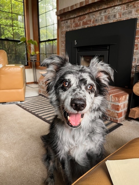 Koda's new life line! | Dextronix