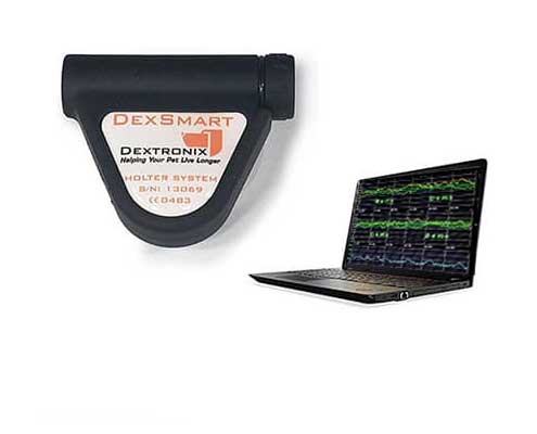 Medical Devices for Veterinary Use