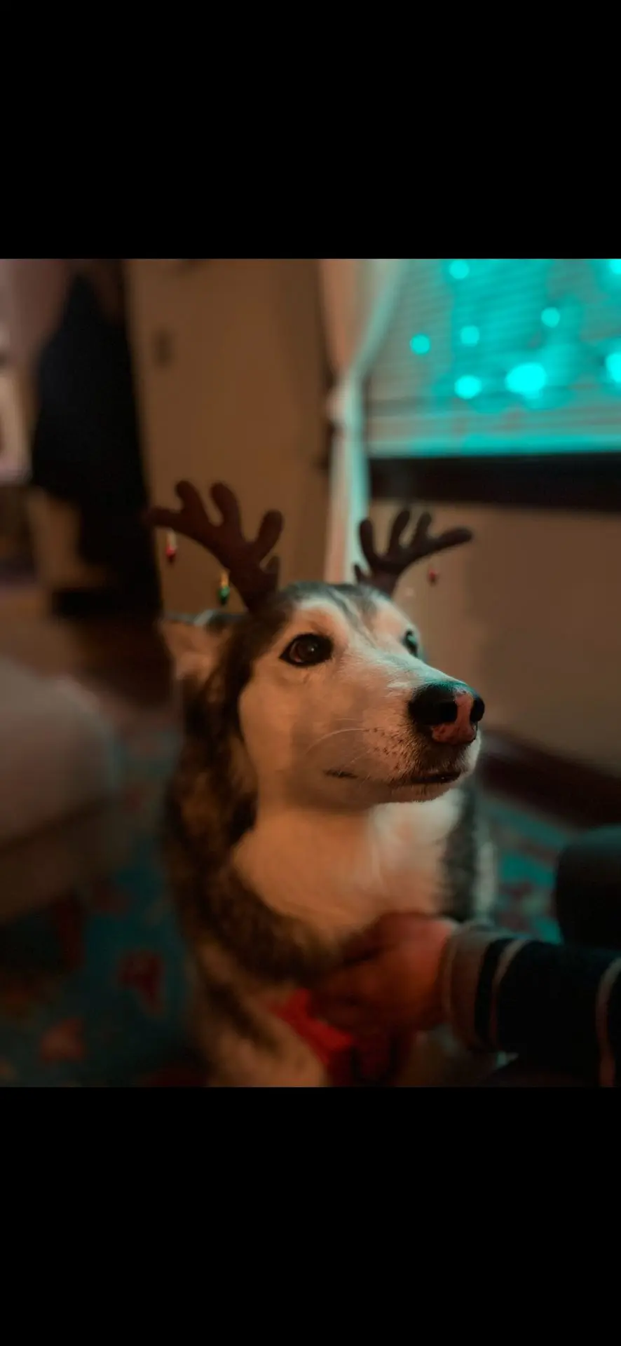 Happy New Year from Dextronix!