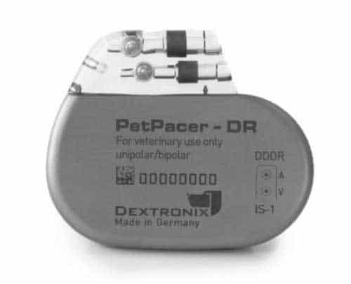 Implantable Cardiac Pacemakers for Dogs| Dextronix